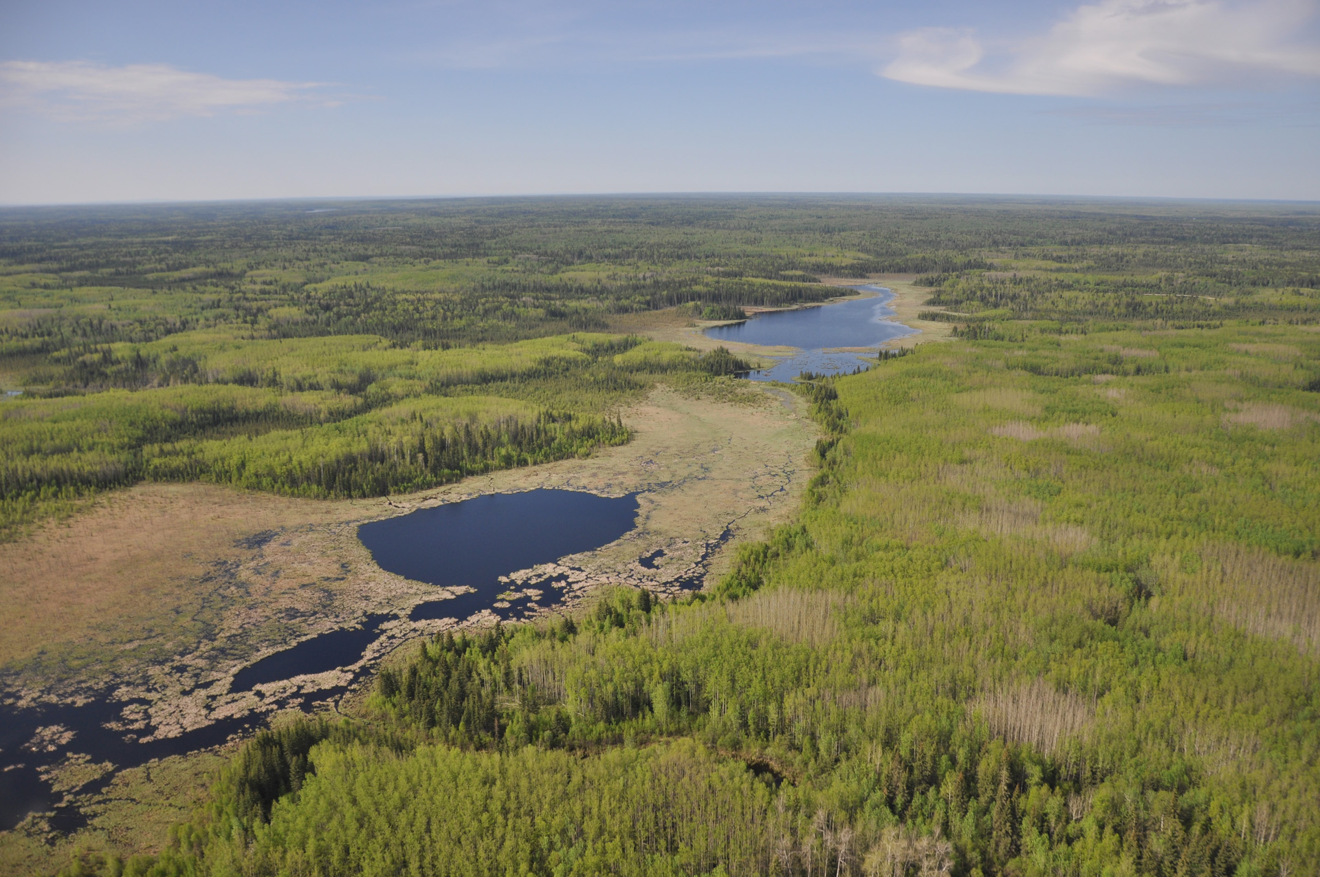 Ducks Unlimited Canada National Boreal Program - DSC_2997_Glenn Mack - Ducks Unlimited Canada ...