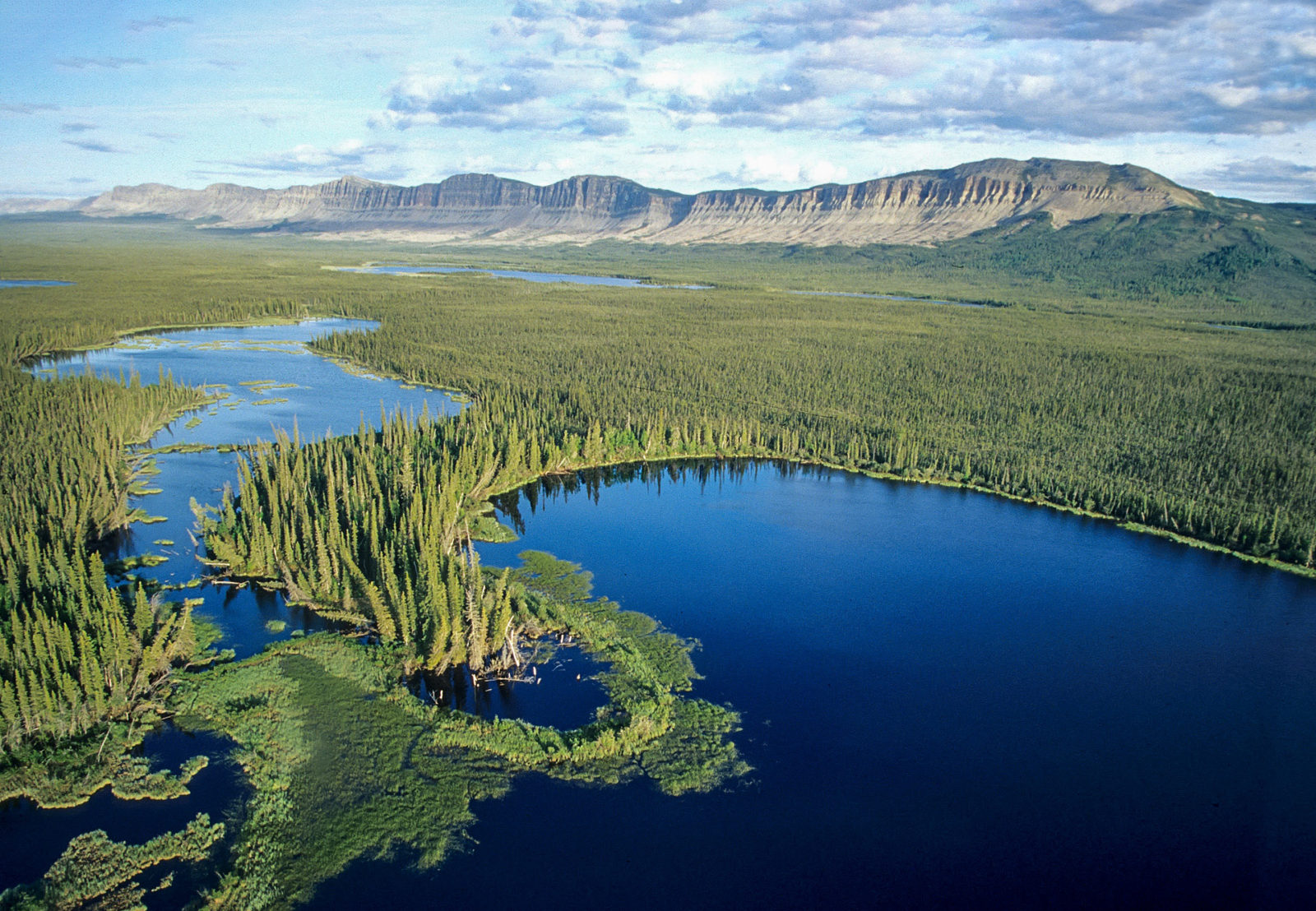 Ducks Unlimited Canada National Boreal Program