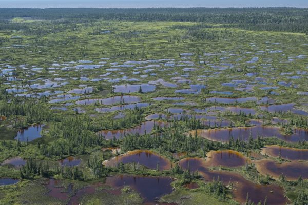 Ducks Unlimited Canada National Boreal Program - Everything You Need to ...