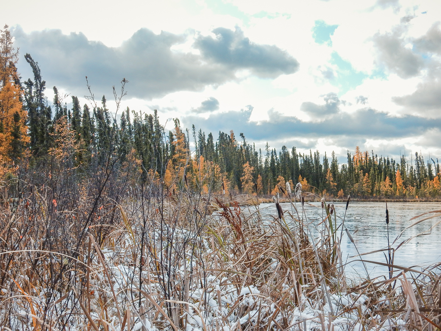 Ducks Unlimited Canada National Boreal Program - DSCN1124-webready - Ducks Unlimited Canada ...