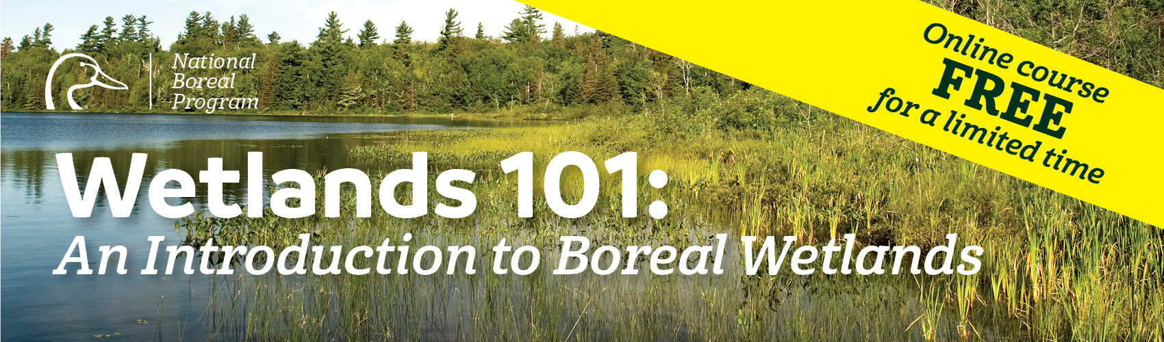 Ducks Unlimited Canada National Boreal Program - Everything You Need to Know About Boreal ...