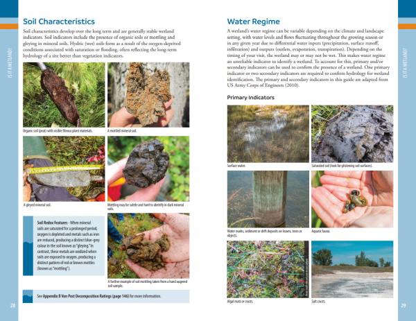 Ducks Unlimited Canada National Boreal Program - Alberta Wetland ...