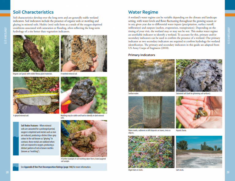 Ducks Unlimited Canada National Boreal Program - Alberta Wetland ...