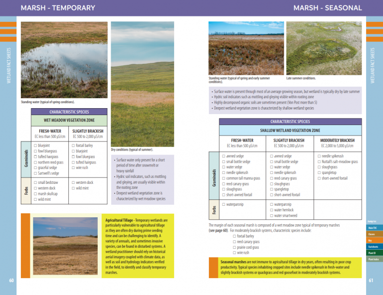 Ducks Unlimited Canada National Boreal Program - Alberta Wetland ...