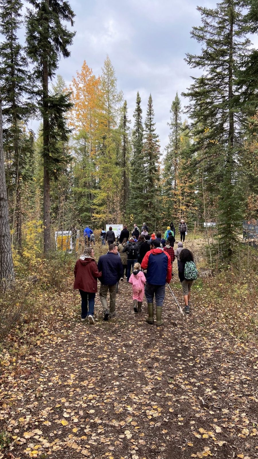 Ducks Unlimited Canada National Boreal Program - A Wetland Centre for Everyone - Ducks Unlimited ...