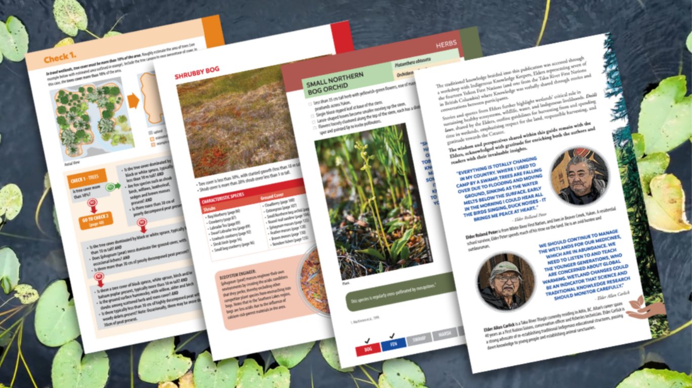 Ducks Unlimited Canada National Boreal Program - Yukon Wetland Field ...