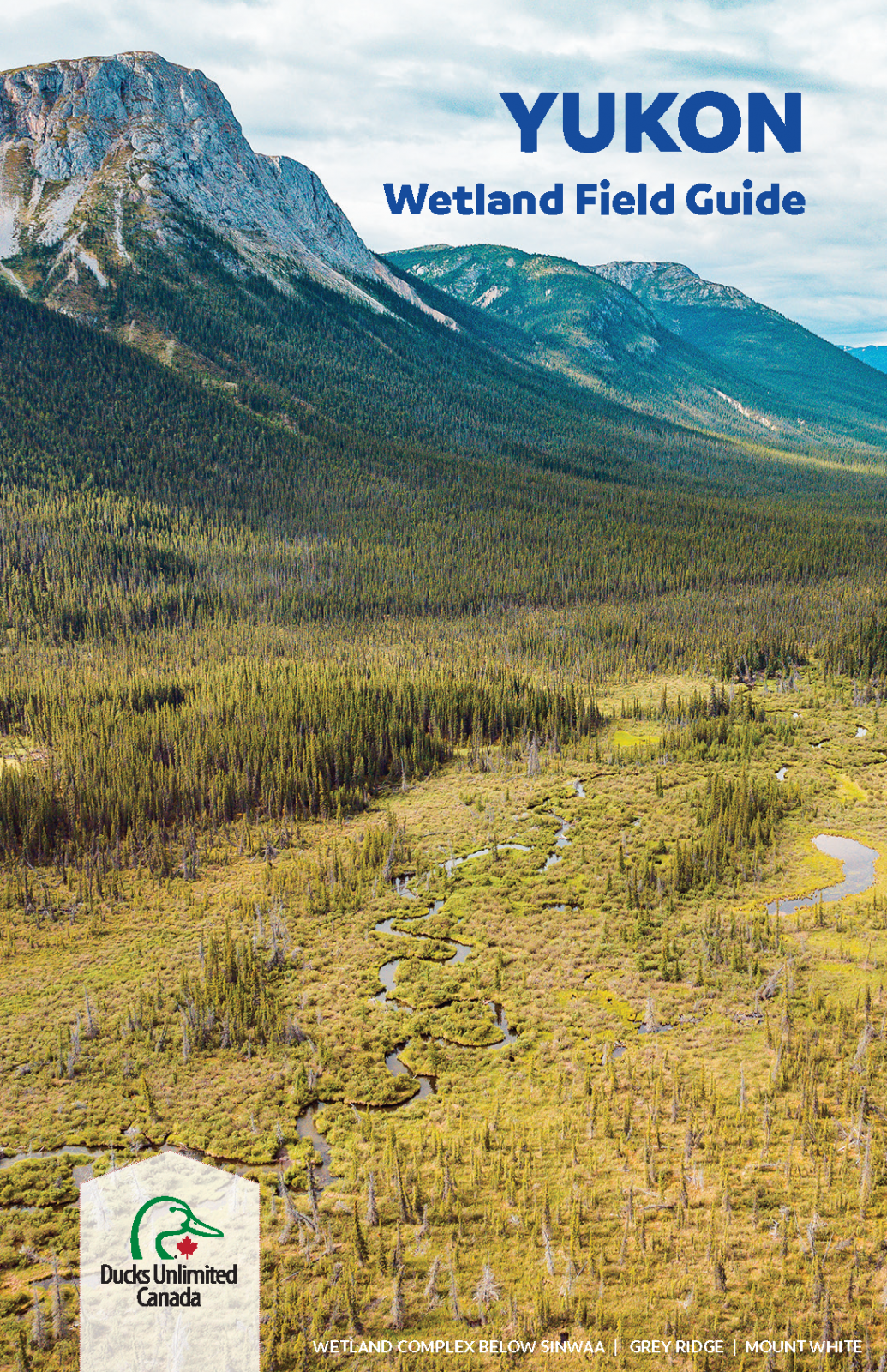 Ducks Unlimited Canada National Boreal Program - Yukon Wetland Field ...